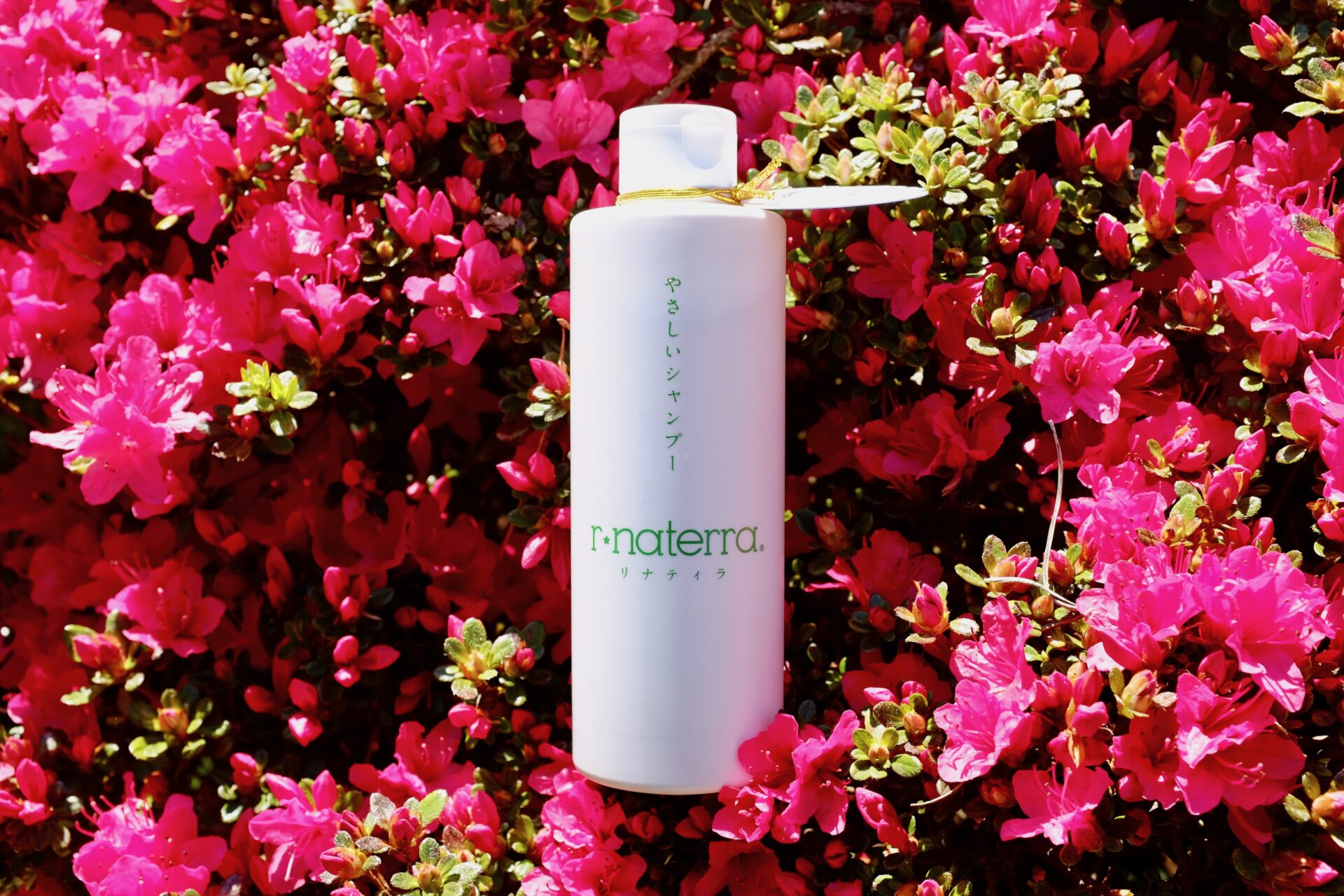 How To - r*naterra : Japanese Organic Shampoo